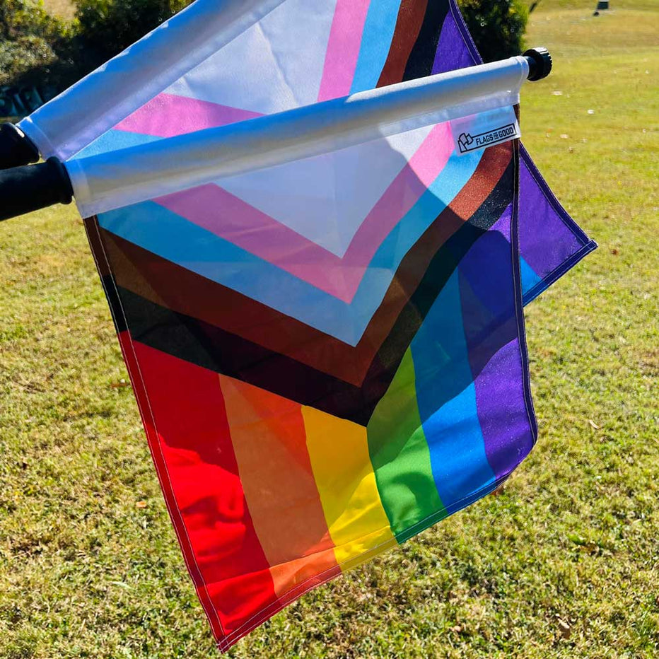 Progress Pride Referee Flag | Set of 2 | Flags For Good