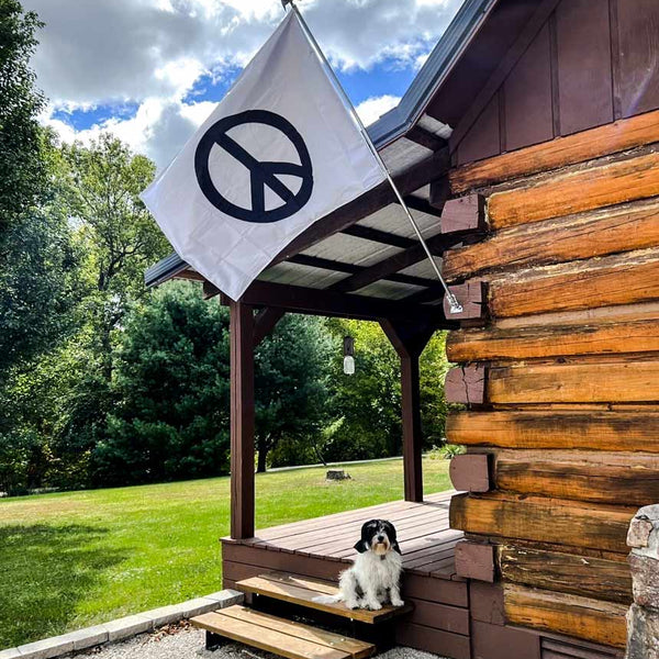 Political, Movement, & Activism Flags – Flags For Good